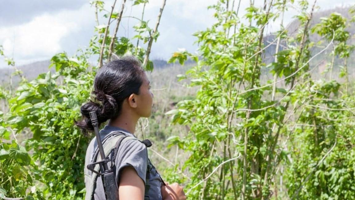 CPP unilateral ceasefire takes effect in PH